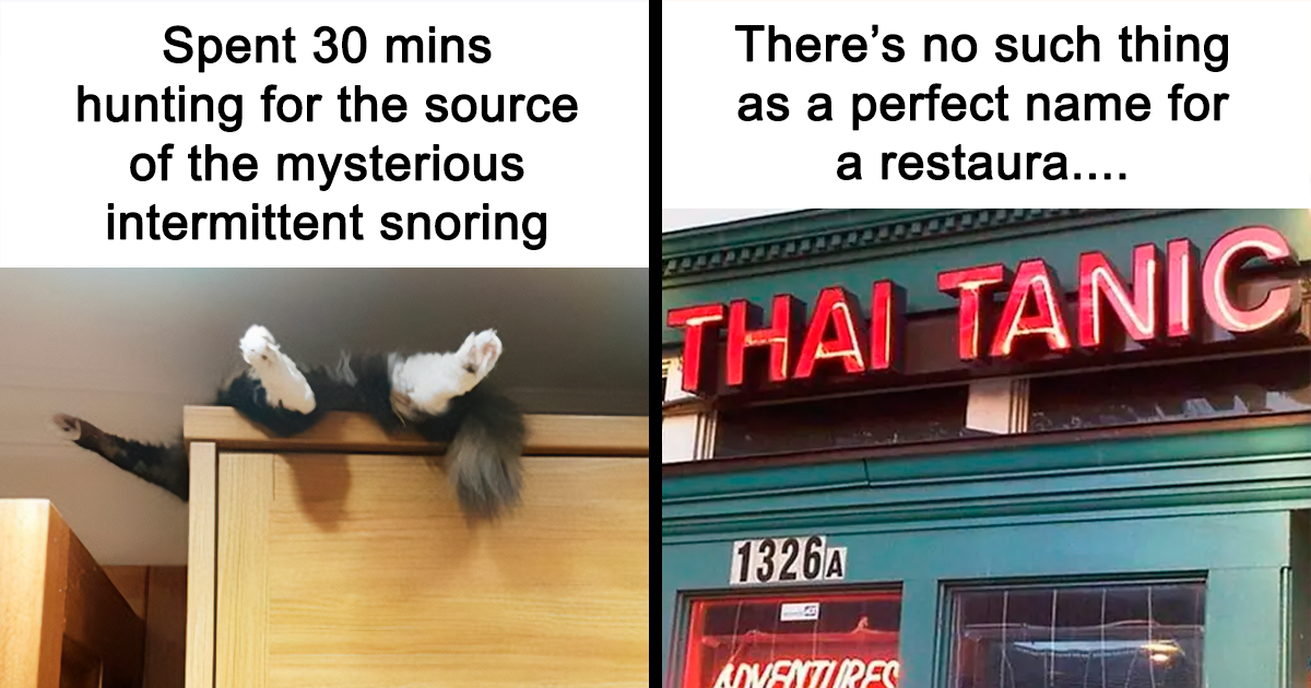 45 Funny And Polite Memes That Don’t Laugh At Anyone’s Expense, As ...